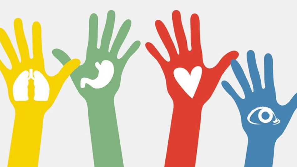 Día Mundial de la Donación de Órganos, Tejidos y Trasplantes: ¿por qué ...